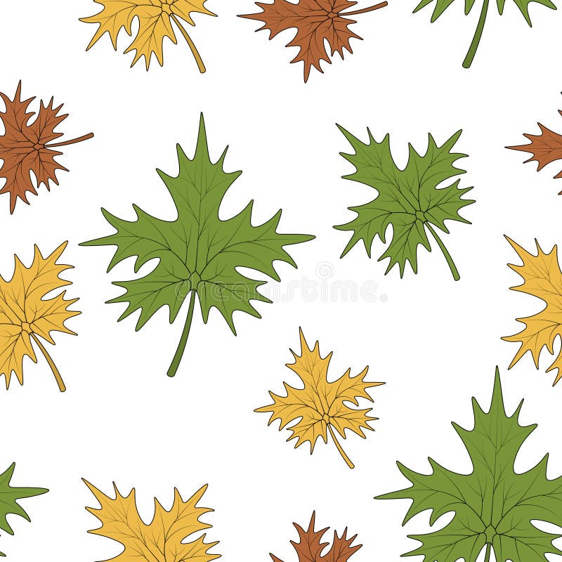 Maple Leaf. Repeating Pattern. Part of Tree with Veins. Continuous ...
