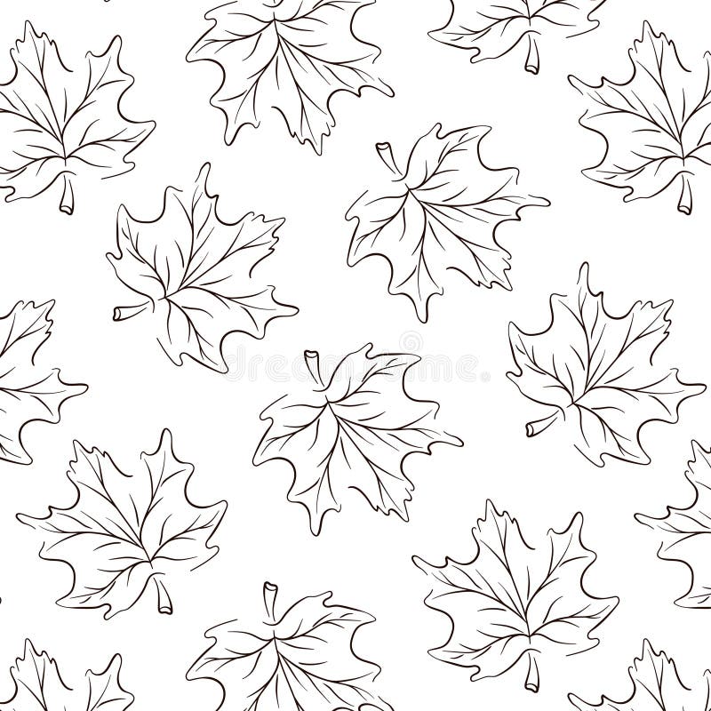 Maple Leaf Seamless Pattern in Line Art, Outline Style. Floral ...