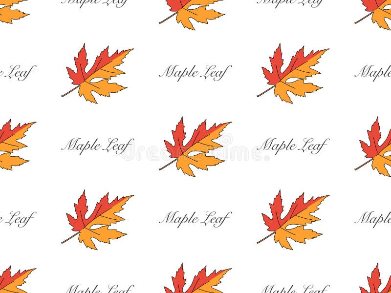 Maple Leaf Seamless Pattern on White Background Stock Illustration - Illustration of background ...