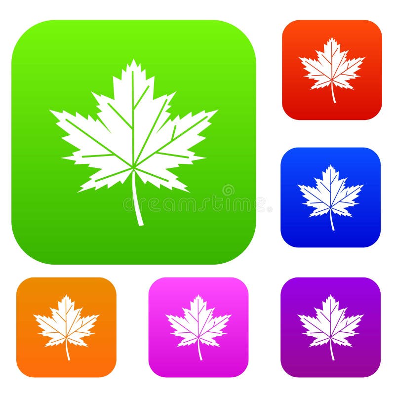Maple leaf set collection stock vector. Illustration of chokeberry - 98007061