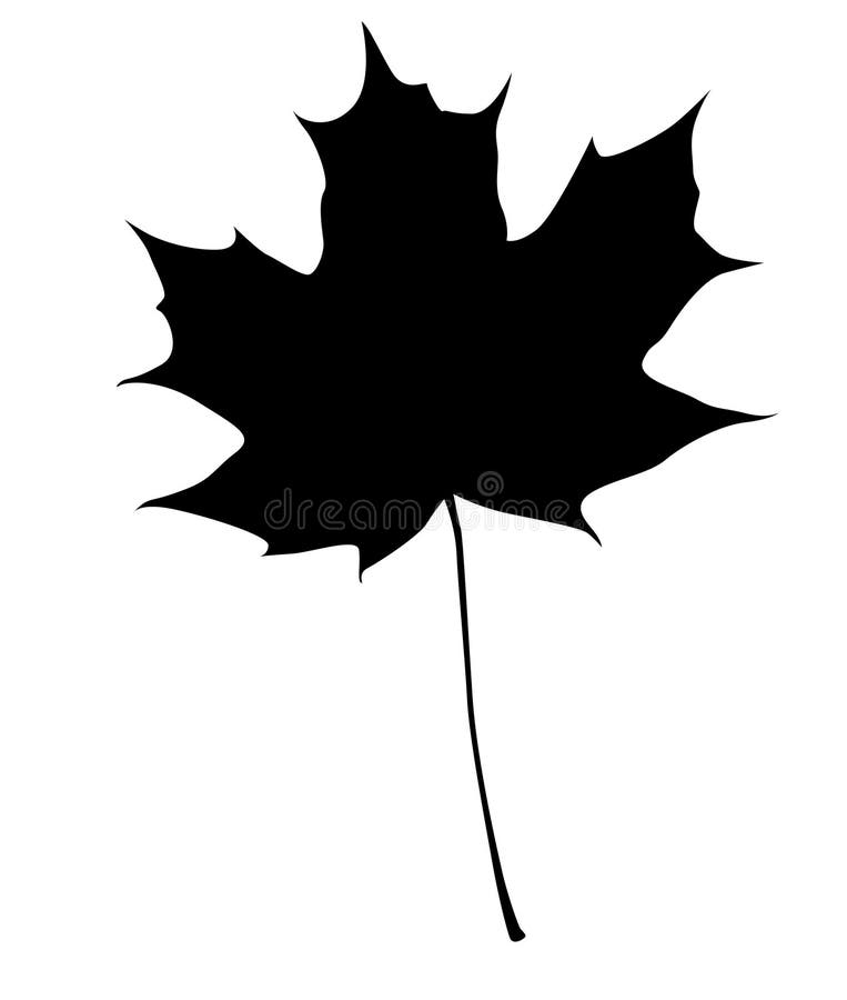 Maple Tree, Autumn Leaf Fall Stock Vector - Illustration of loss, petal ...