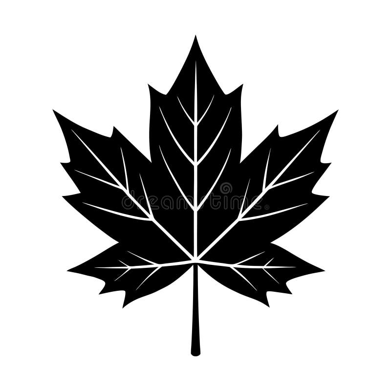 Maple Leaf Silhouette Autumn Foliage Nature Symbol Vector Design Stock ...