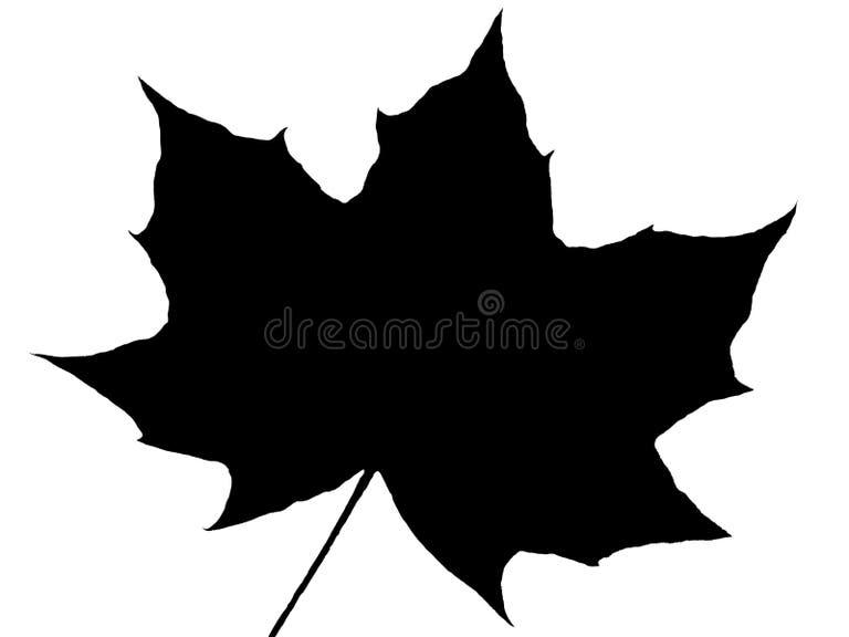 Monochrome Maple Leaf Silhouette Stock Photos - Free & Royalty-Free ...