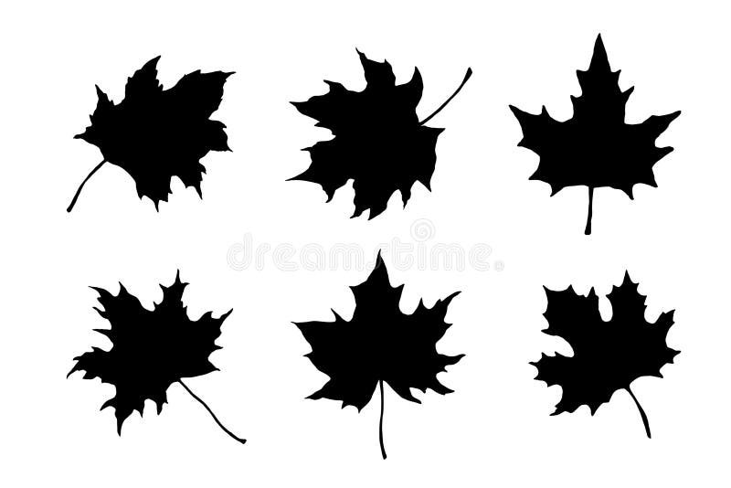 Maple Leaf Silhouette. Hand Drawn Fall Illustrations Set Isolated Stock ...