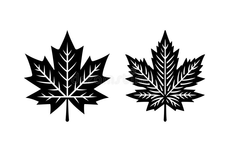 Maple Leaf Silhouette Vector Art Illustration Stock Vector ...