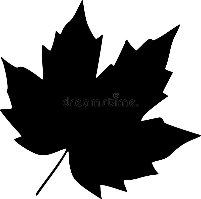 Maple Leaf Silhouette on White Stock Illustration - Illustration of ...