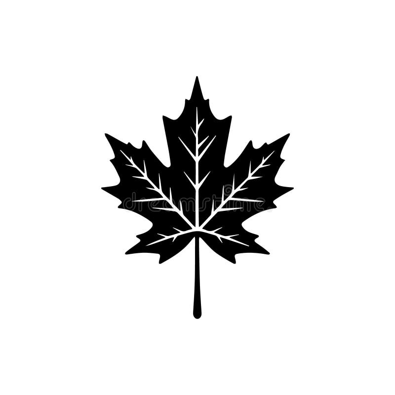 Maple Leaf Silhouettes Vector Illustration Isolated on White Background ...