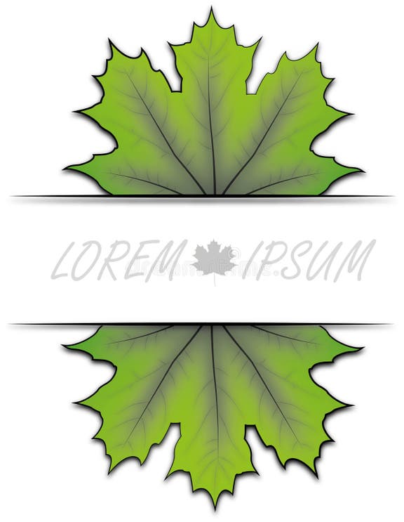 Maple Leaf Text Field Stock Illustrations – 223 Maple Leaf Text Field ...