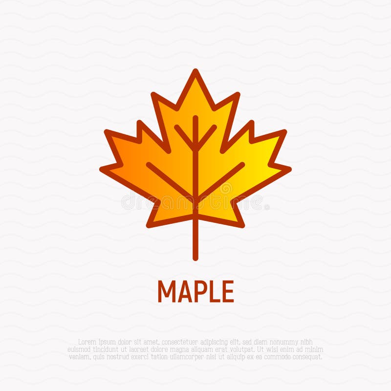 Maple Leaf Thin Line Icon. Modern Vector Illustration, Symbol of Autumn ...