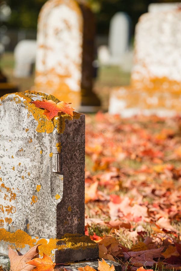 Autumn cemetery stock photo. Image of fall, buried, colors - 15958486