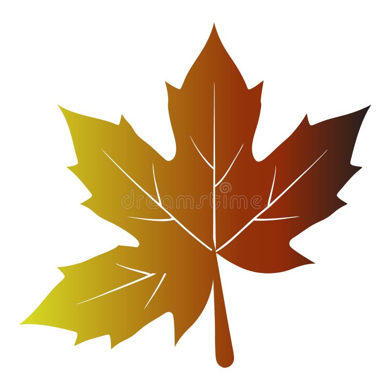Maple Leaf Vector Art, Maple Leaf Design Stock Vector - Illustration of ...