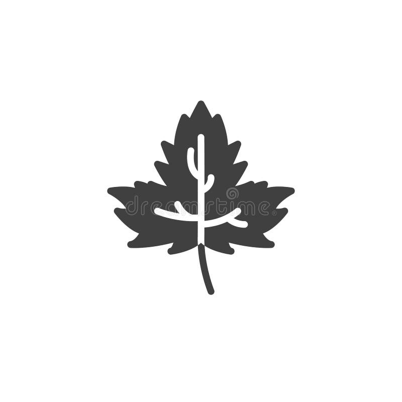 Maple Leaf Outline Icon Stock Vector Illustration Of Maple 125260610