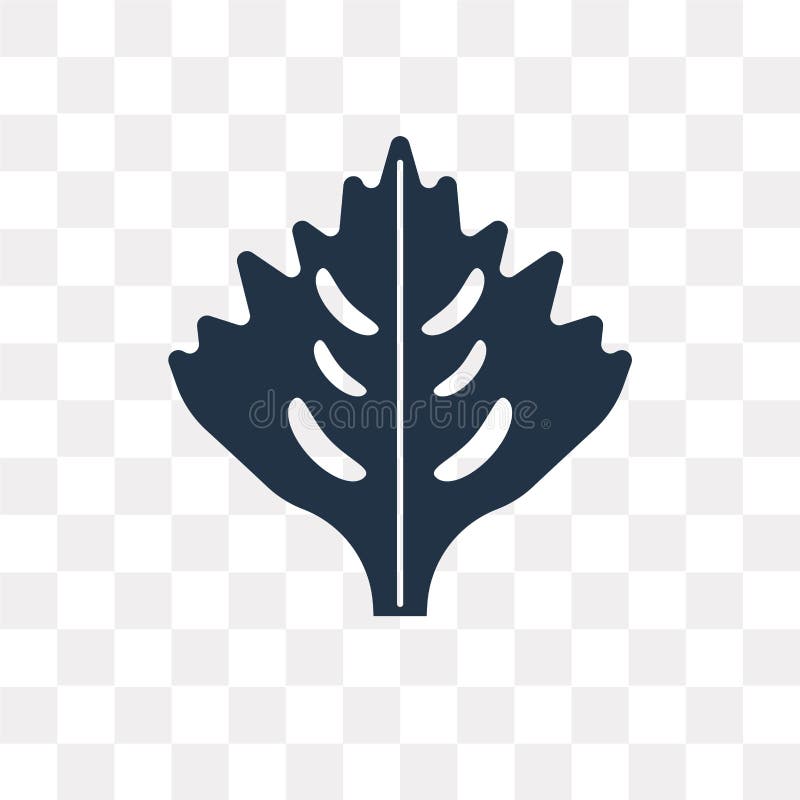 Maple Leaf Vector Icon Isolated on Transparent Background, Maple Stock ...