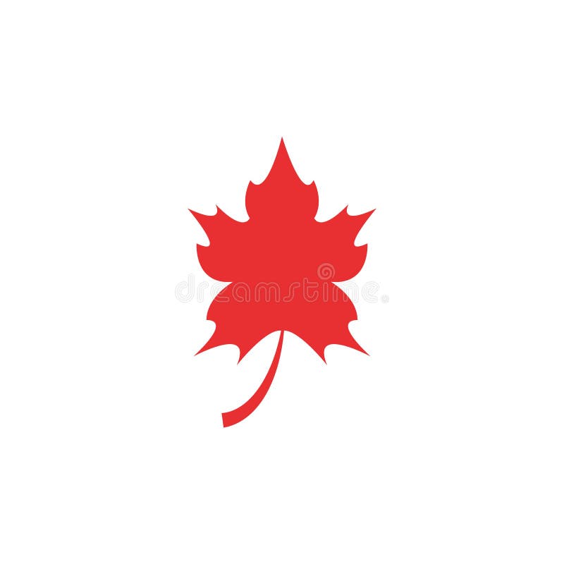 Maple Leaf Vector Illustration Stock Vector - Illustration of natural ...