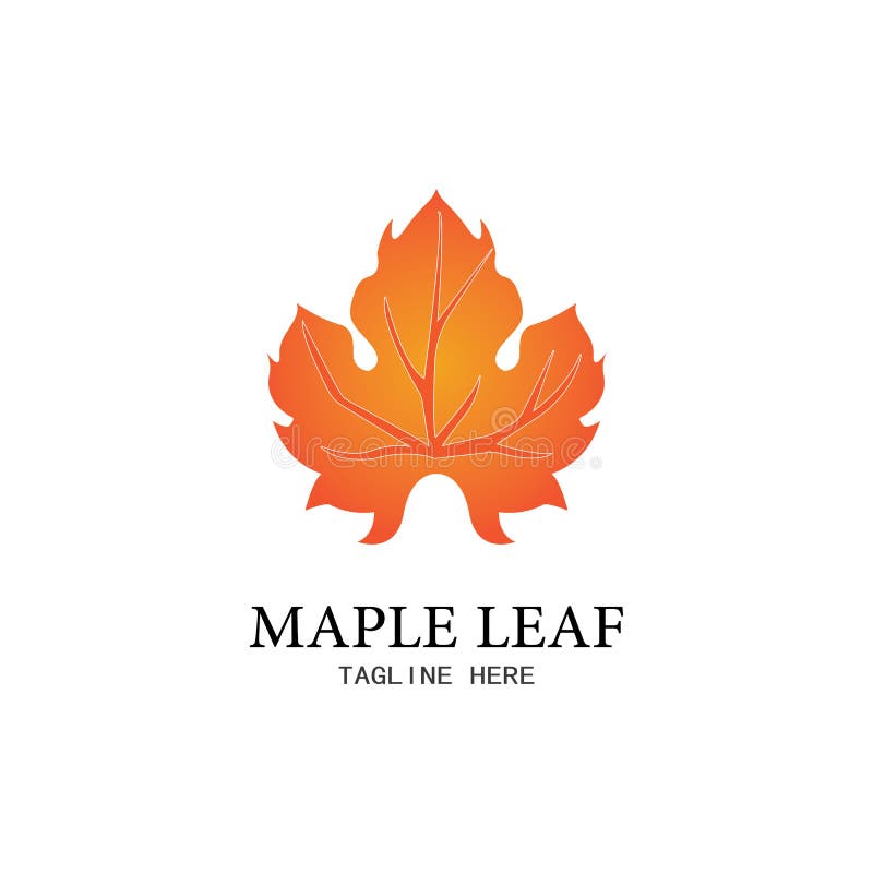 Maple Leaf Vector Illustration Stock Vector - Illustration of element ...