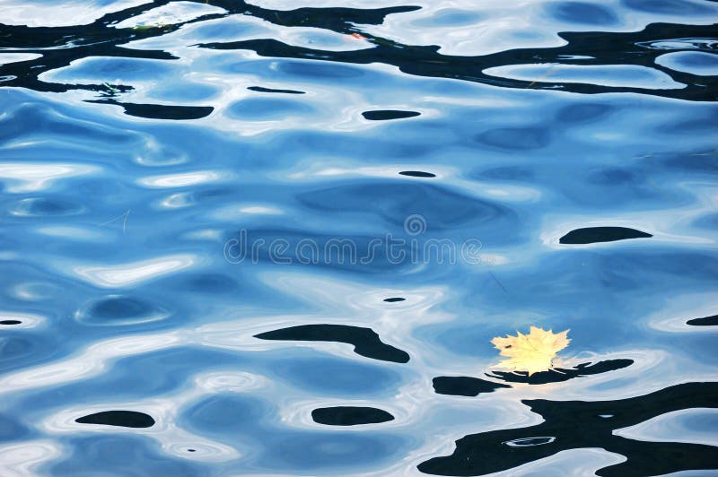 Avii - Contributor Profile on Dreamstime