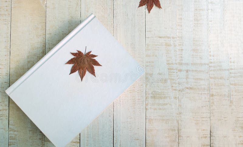 Maple Leaf on the White Book Stock Photo - Image of copy, literature ...