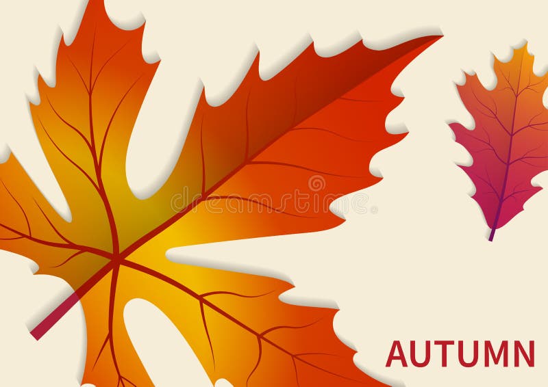Maple Leaf with Written Phrase Autumn Stock Vector - Illustration of ...
