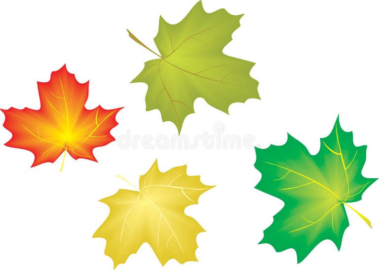 Unity Maple Stock Illustrations – 1,532 Unity Maple Stock Illustrations ...