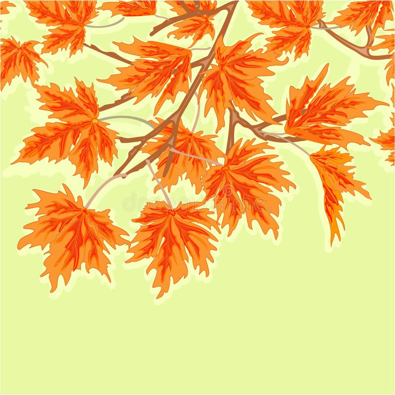 Maple Leaves Autumn Theme Vector Stock Vector - Illustration of autumn ...