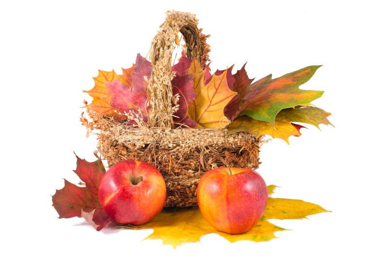 Maple Leaves in a Basket and Apples Stock Photo - Image of color ...