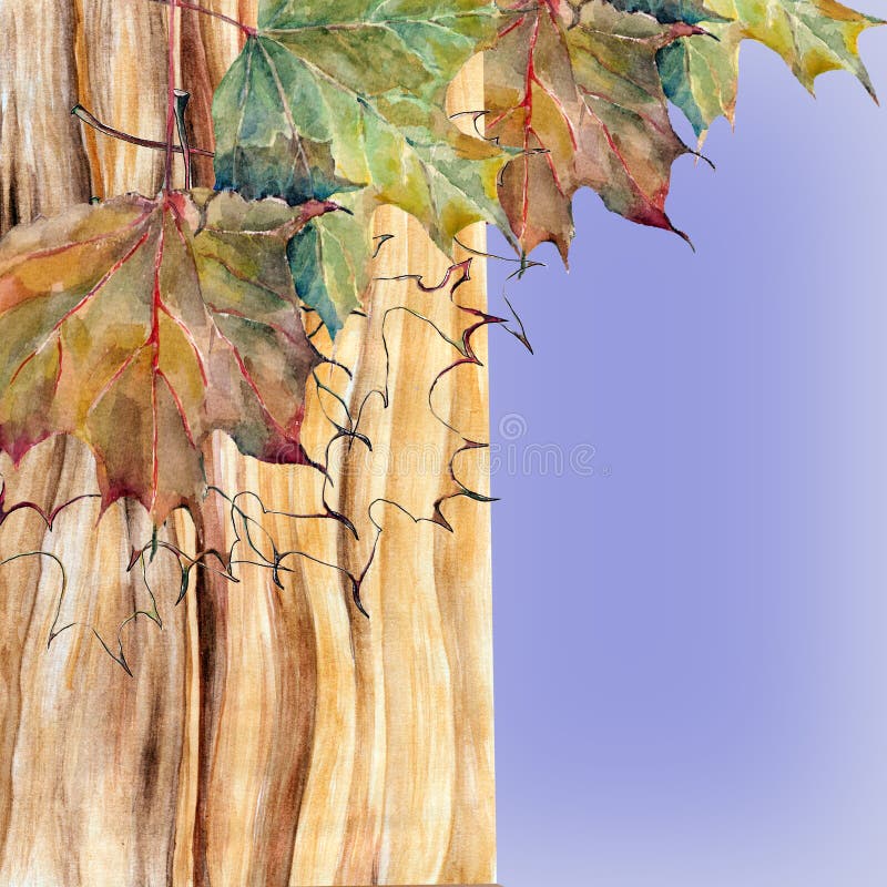 Maple Leaves on a Blue Background , Tree Bark Watercolor,pattern Stock ...