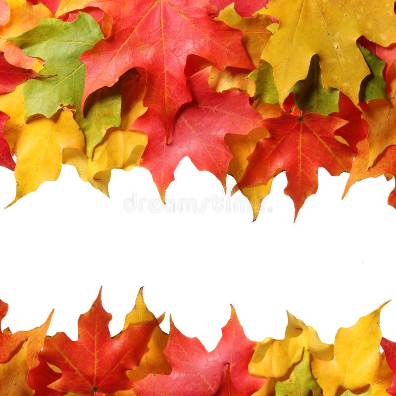 Maple Leaves Border with Space for Text. Colored Autumn Leafs Isolated ...