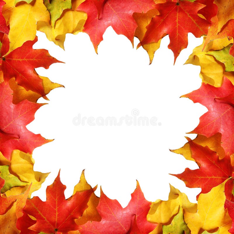 Maple Leaves Border with Space for Text. Colored Autumn Leafs Isolated ...