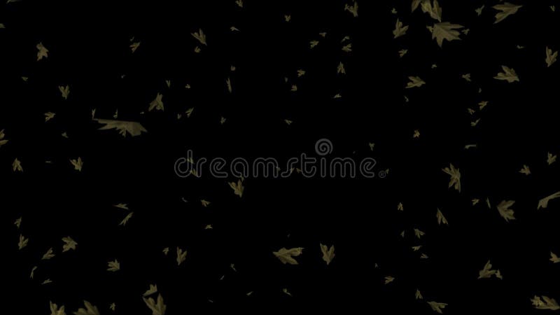 Maple Leaves Explosion. Burst of Maple Leaf. Alpha Channel Stock Video ...