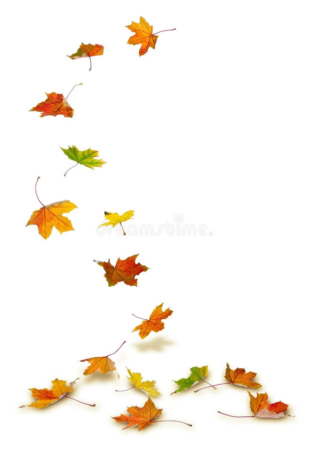 35+ Vertical falling leaves Free Stock Photos - StockFreeImages