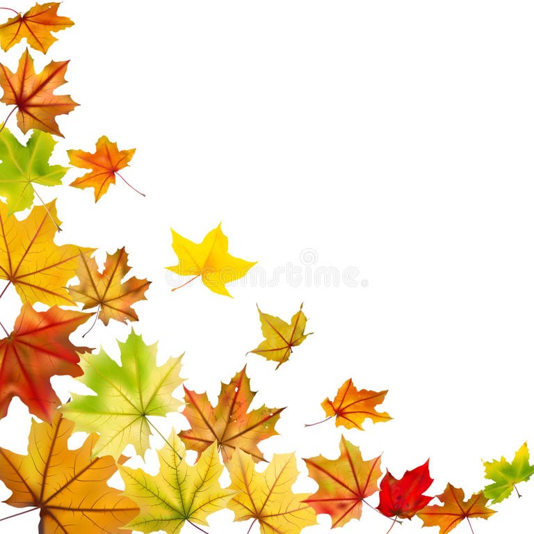 Maple leaves falling stock vector. Illustration of green - 42700618