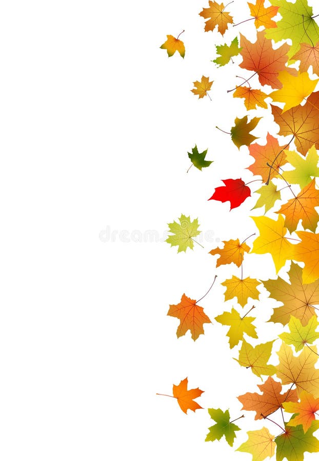 Maple leaves falling stock vector. Illustration of falling - 43103017