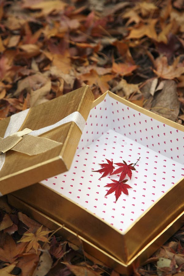 Maple Leaves in Gift Box. Decorative Background Design Stock Image ...