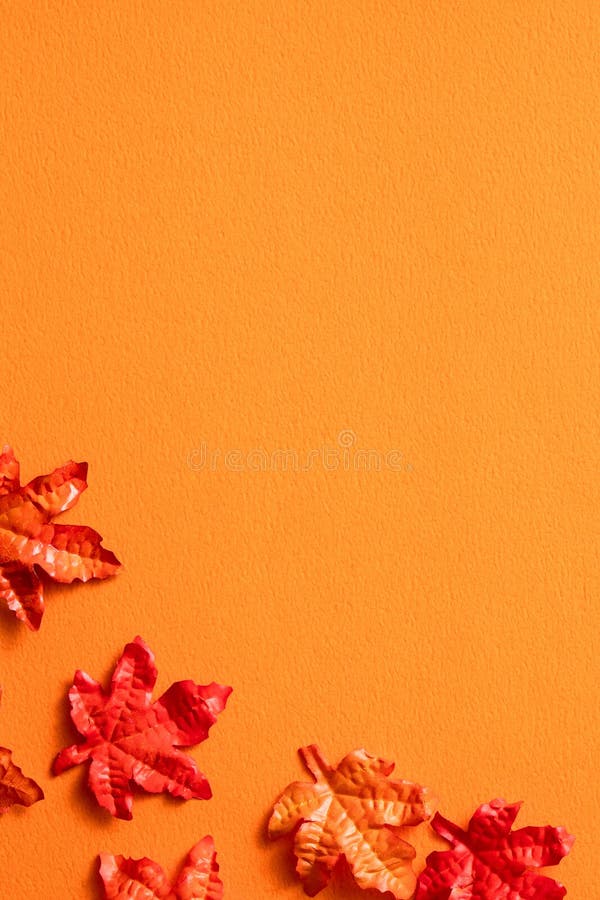 Maple Leaves Isolated on Orange Table Background for Design Elements in ...
