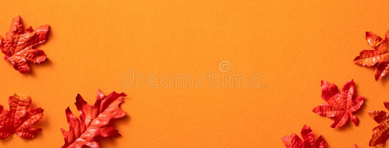 Maple Leaves Isolated on Orange Table Background for Design Elements in ...