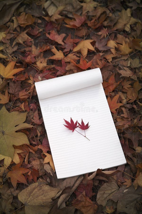 Maple Leaves on Notepad. Decorative Background Design Stock Photo ...