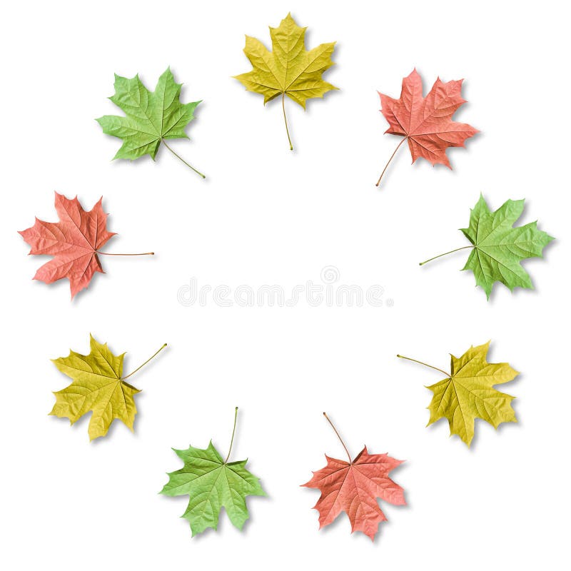 Round autumn leaves border stock photo. Image of leaf - 42189092