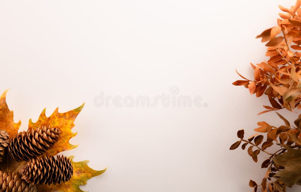 Maple Leaves, Pine Cones, and Dried Branches Positioned on the Sides ...