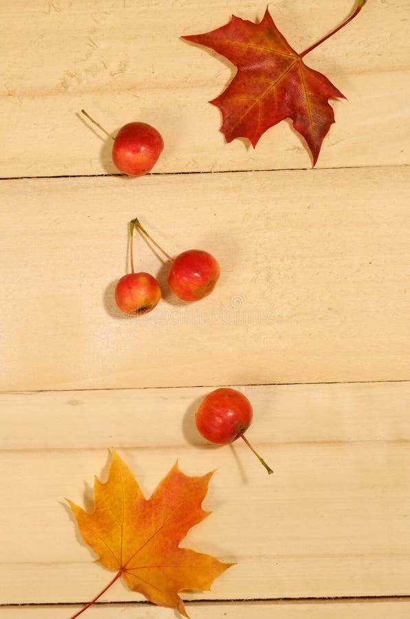 Maple Leaves and Red Apples on a Wooden Table Stock Image - Image of ...