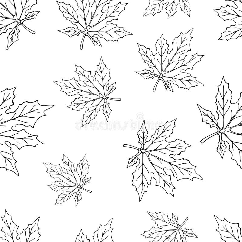 Maple Leaves. Seamless Pattern. Vector Stock Vector - Illustration of ...