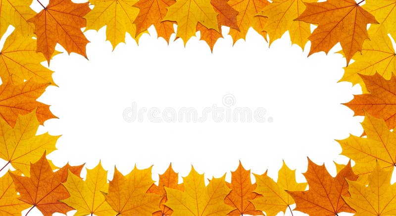 Maple Leaves in Shades of Orange and Yellow Frame a White Rectangular ...