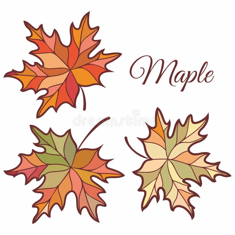 Maple Leaves in Stained Illustration. Stock Vector - Illustration of ...