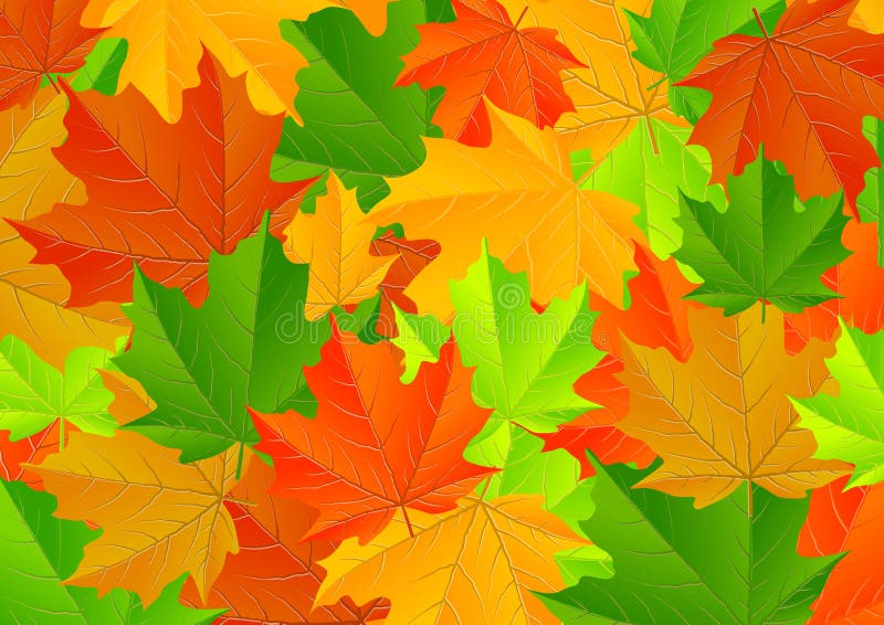 Maple leaves texture stock vector. Illustration of pattern - 42752636