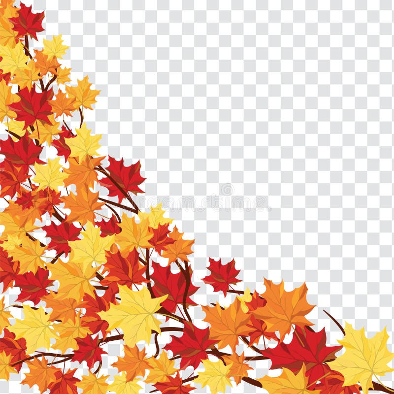Maple Leaves on Transparency Grid Stock Vector - Illustration of copy ...