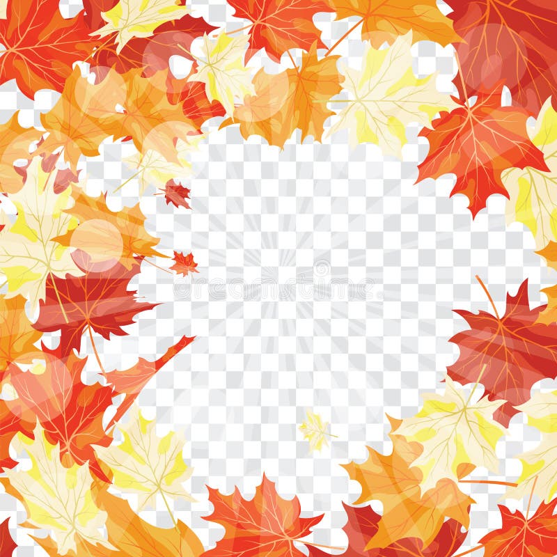 Maple Leaves on Transparency Grid Stock Vector - Illustration of ...