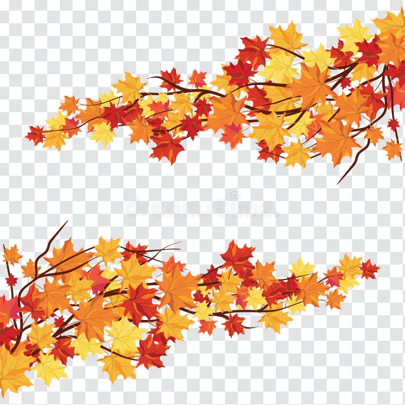 Maple Leaves on Transparency Grid Stock Vector - Illustration of border ...