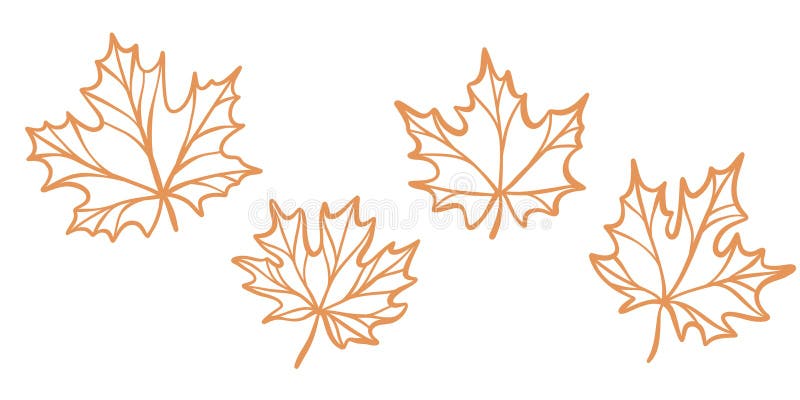 Maple Leaves Vector Line Art Illustration, Leaf Doodle Set Stock Vector ...