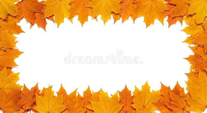 Maple Leaves in Vibrant Orange and Yellow Shades Frame the Image ...
