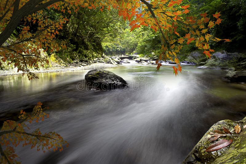 Maple River stock photo. Image of foliage, flowing, environment - 28127062