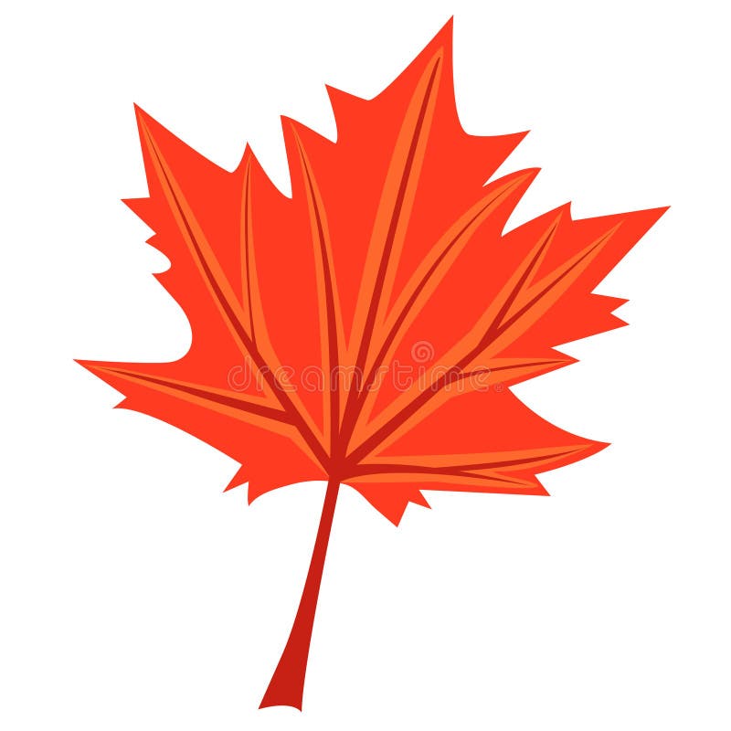 Red Maple Leaf stock illustration. Illustration of autumn - 26162151